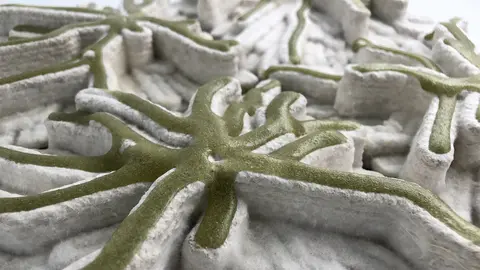 Biomaterials and the new frontier of living materials: seaweed | Salone ...